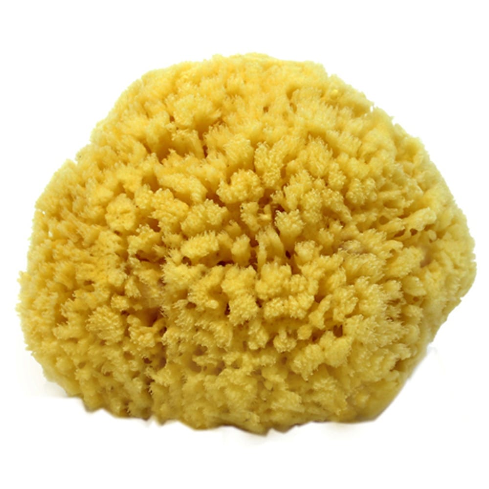 NATURAL YELLOW SEA SPONGE 4-5″ “NATURAL RENEWABLE RESOURCE” – Spa ...